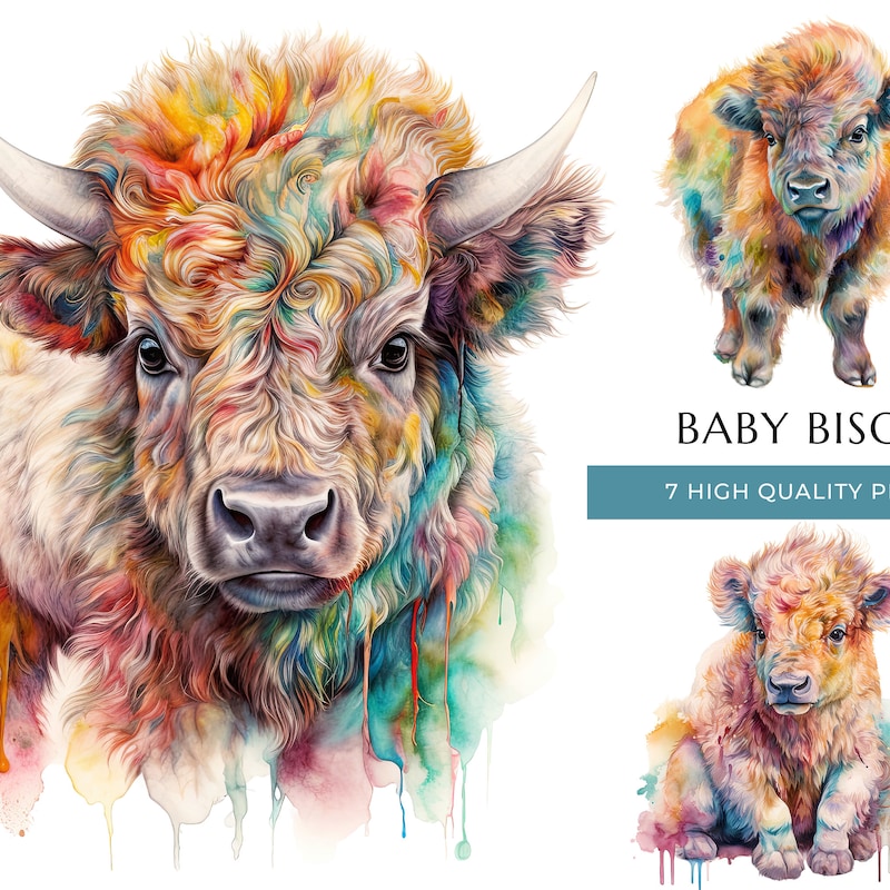 Bison Baby Shower - Etsy