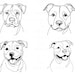 Staffordshire Bull Terrier Line Art Clipart Bundle (digital Download ...