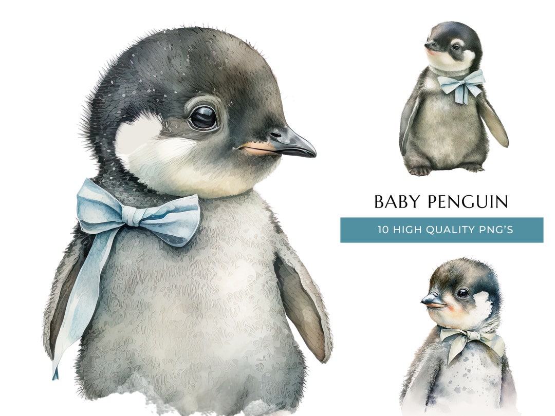 Baby Penguin With Bow Tie Watercolor Clipart of 10 Pngs, Cute Baby ...