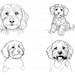 Cockapoo SVG & PNG Clipart Bundle: Digital Line Art, Minimalist Vector ...