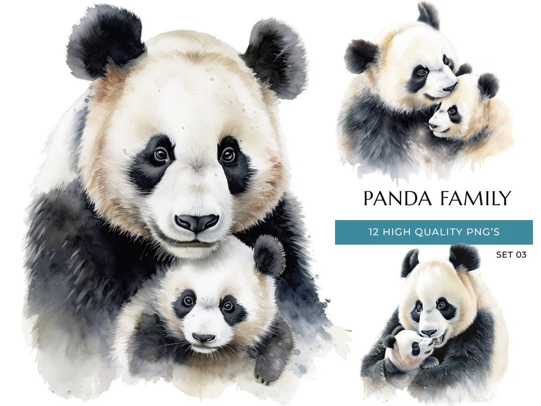 Mom and Baby Panda Bear Clipart, 12 High Quality Pngs, Watercolor Cute ...