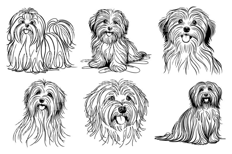 Havanese Line Art Clipart Bundle: Minimalist Dog Vector (digital ...