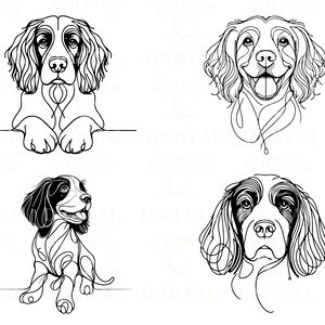 English Springer Spaniel SVG & PNG Clipart Bundle: Digital Line Art ...