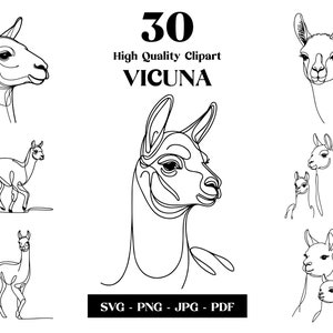 Vicuna SVG Clipart, Vicuña Minimalist Line Art, Logo Animal Vector ...