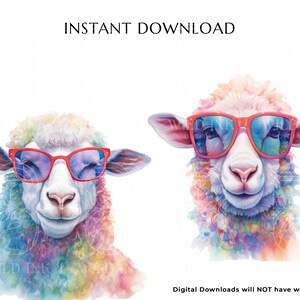 Watercolor Sheep Clipart With Sunglasses: Farm Animal Print (digital ...
