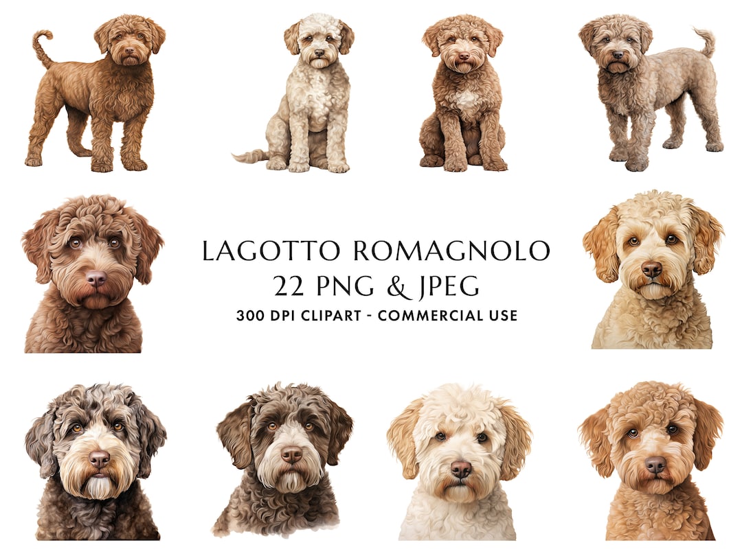 Watercolor Lagotto Romagnolo Clipart: Dog Mom/dad Gift (digital ...