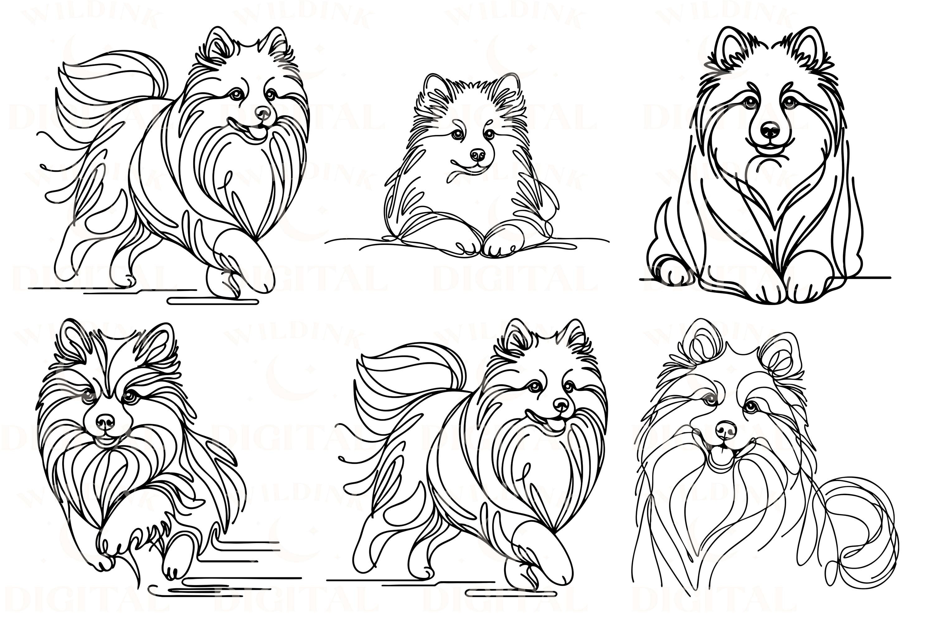 Pomsky Line Art Clipart Bundle: Minimalist Dog SVG, PNG (digital ...