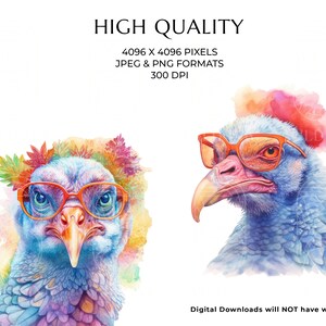 Watercolor Turkey Clipart With Sunglasses, Farm Animal PNG JPEG ...