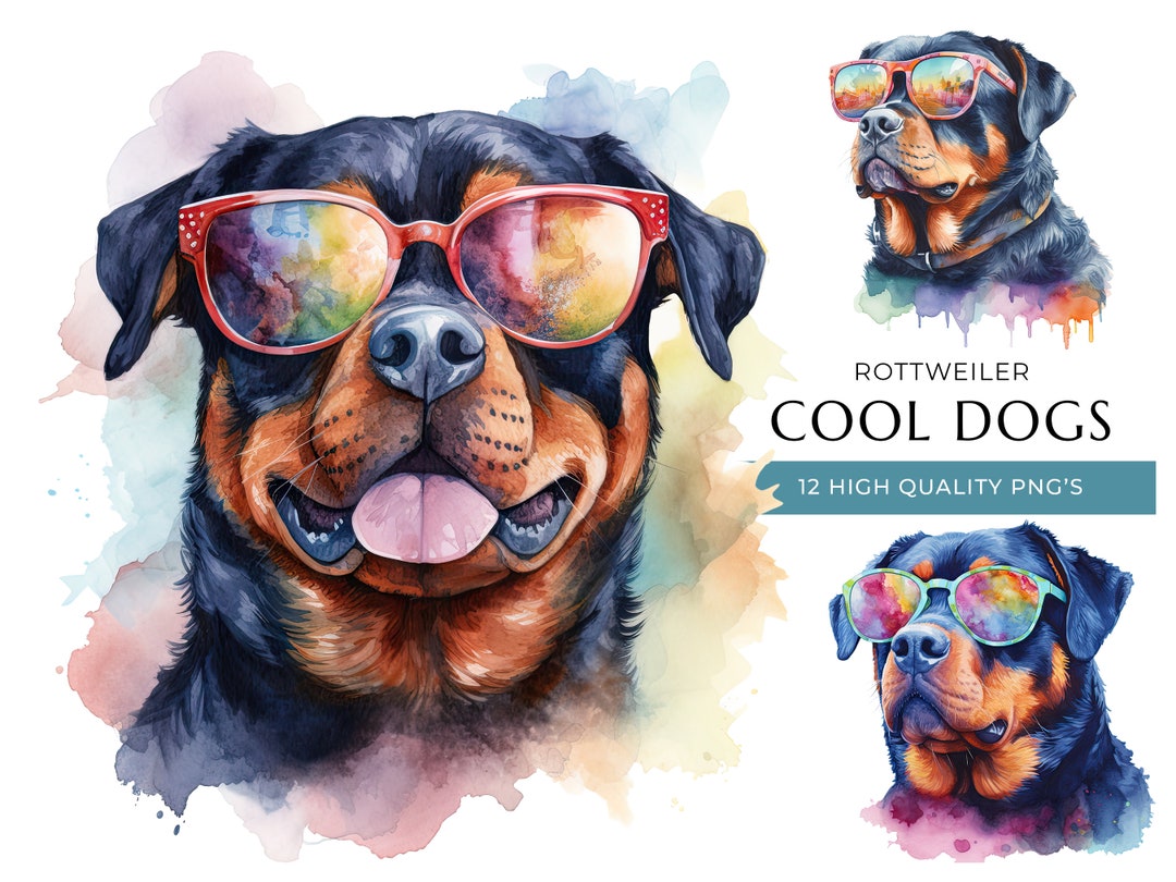 Cool Rottweiler Dog Clipart, 12 High Quality Pngs, Funny Dogs With ...