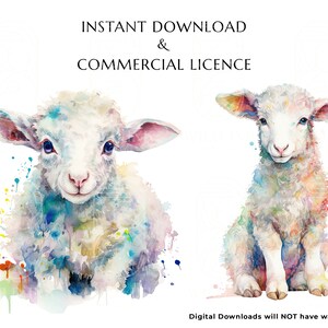 Baby Sheep Watercolor Clipart 7 Pngs, Nursery Decor, Farm Theme Wall ...