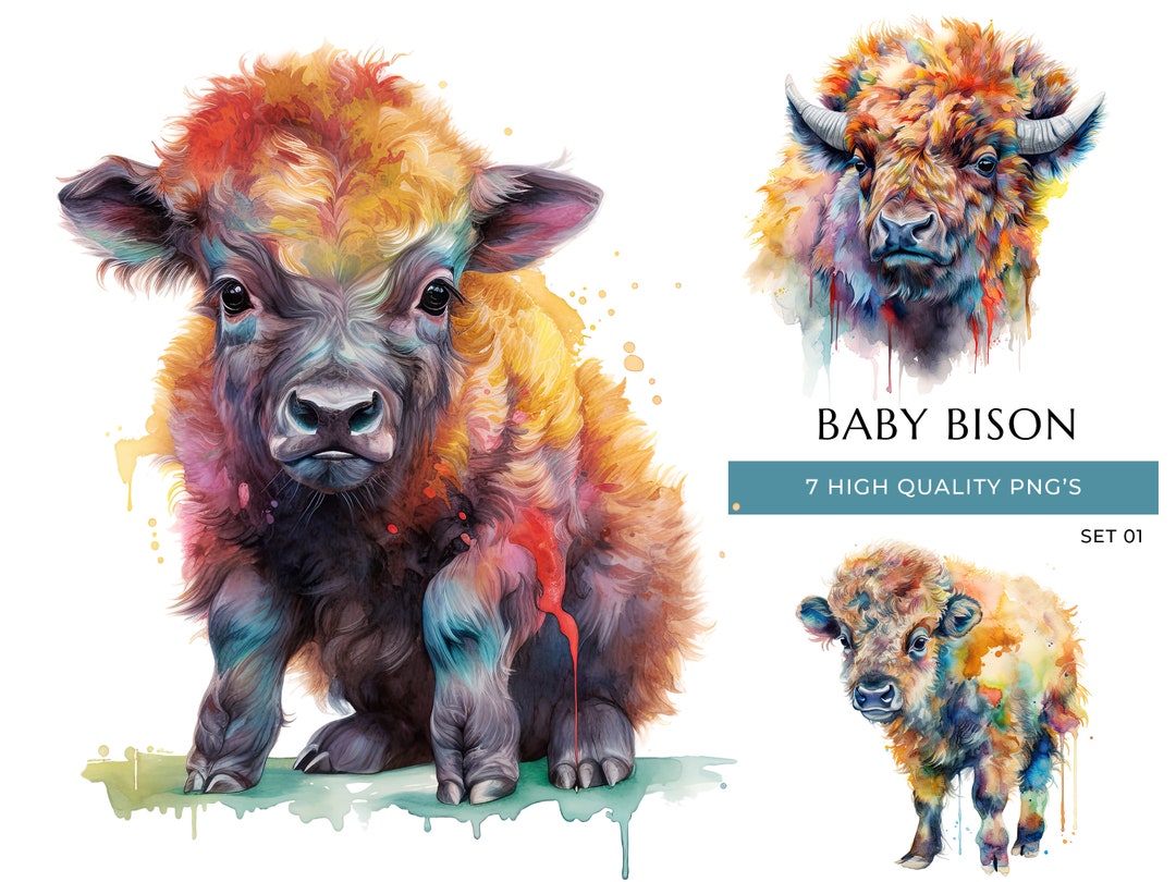 Baby Bison Colorful Watercolor Clipart 7 Pngs, Cute Wildlife Art for ...
