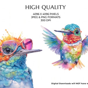 Watercolor Hummingbird Clipart With Sunglasses (digital Download) - Etsy