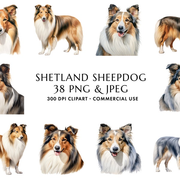 Sheltie Art - Etsy