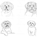 Lhasa Apso SVG & PNG Clipart Bundle: Digital Line Art, Minimalist ...