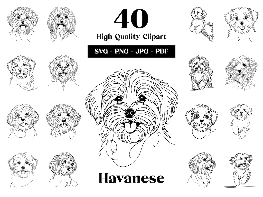 Havanese Line Art Clipart Bundle: Minimalist Dog Vector (digital ...