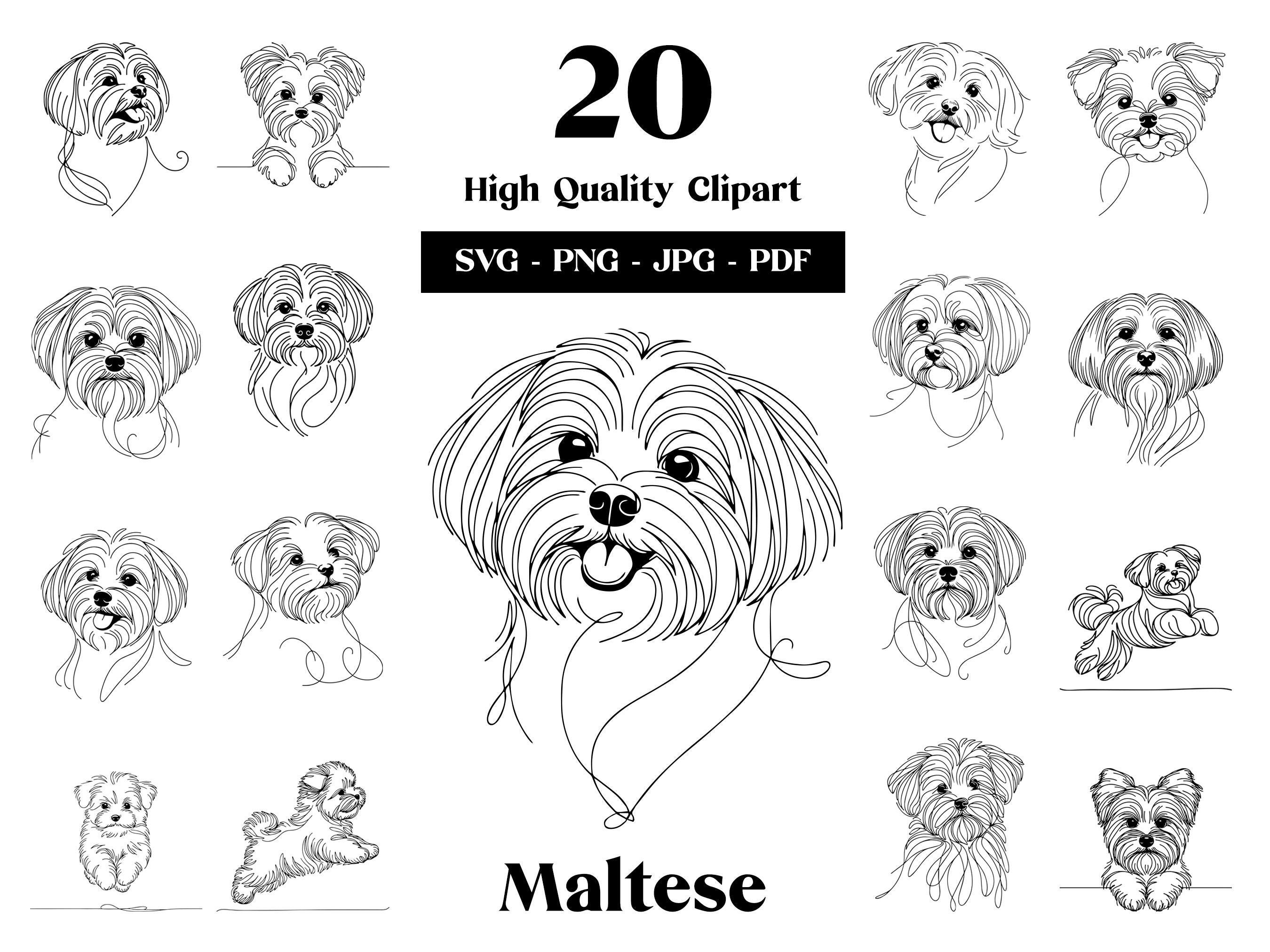 Silueta Maltesa Maltese Puppy Svg, Dog Svg Cricut, Cute Face Head
