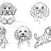 Cockapoo Line Art Clipart Bundle: Minimalist Dog Vector (digital ...