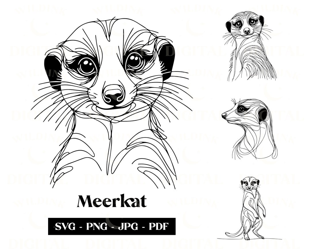 Meerkat Outline