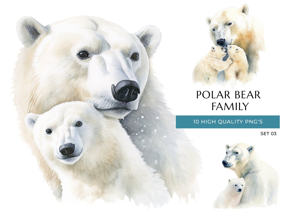 Mom and Baby Polar Bear Clipart, 10 High Quality Pngs, Watercolor Cute ...