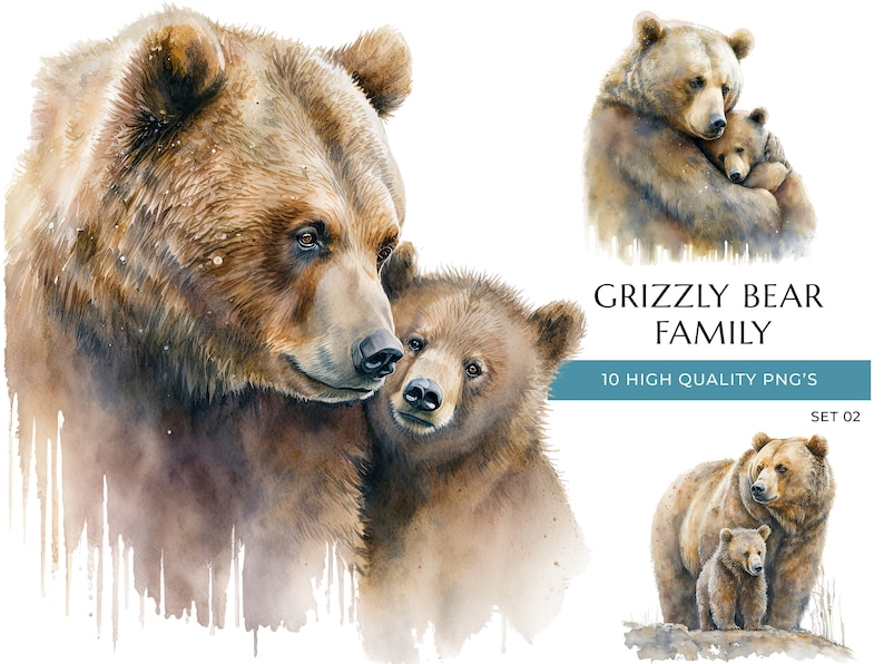 Mom and Baby Bear Clipart 10 High Quality Pngs Watercolor - Etsy
