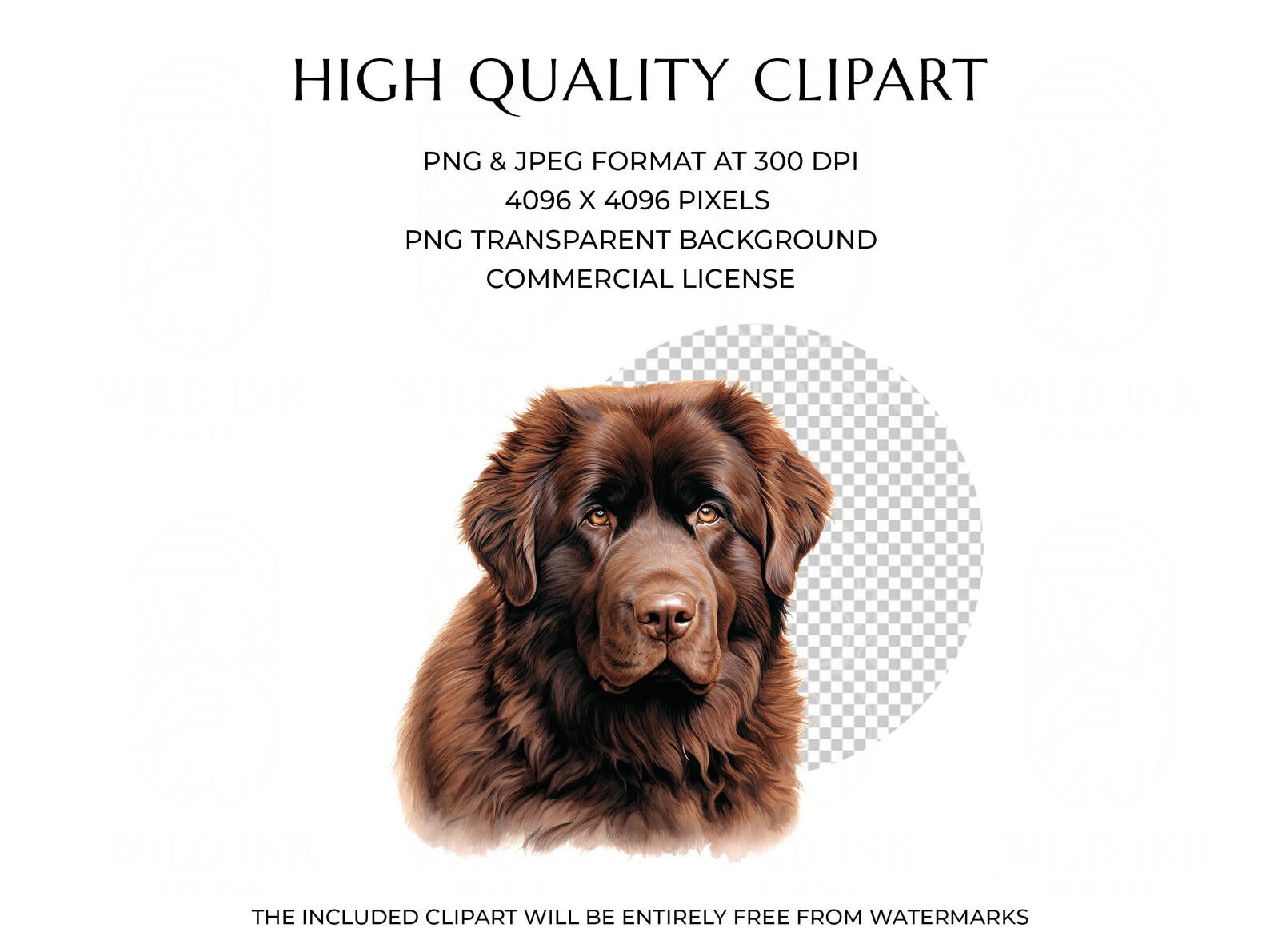 Watercolor Newfoundland Clipart Bundle: 30 PNG & JPEG (digital Download ...