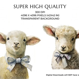 Baby Sheep With Bow Tie Watercolor Clipart of 13 Pngs, Farm Animals ...