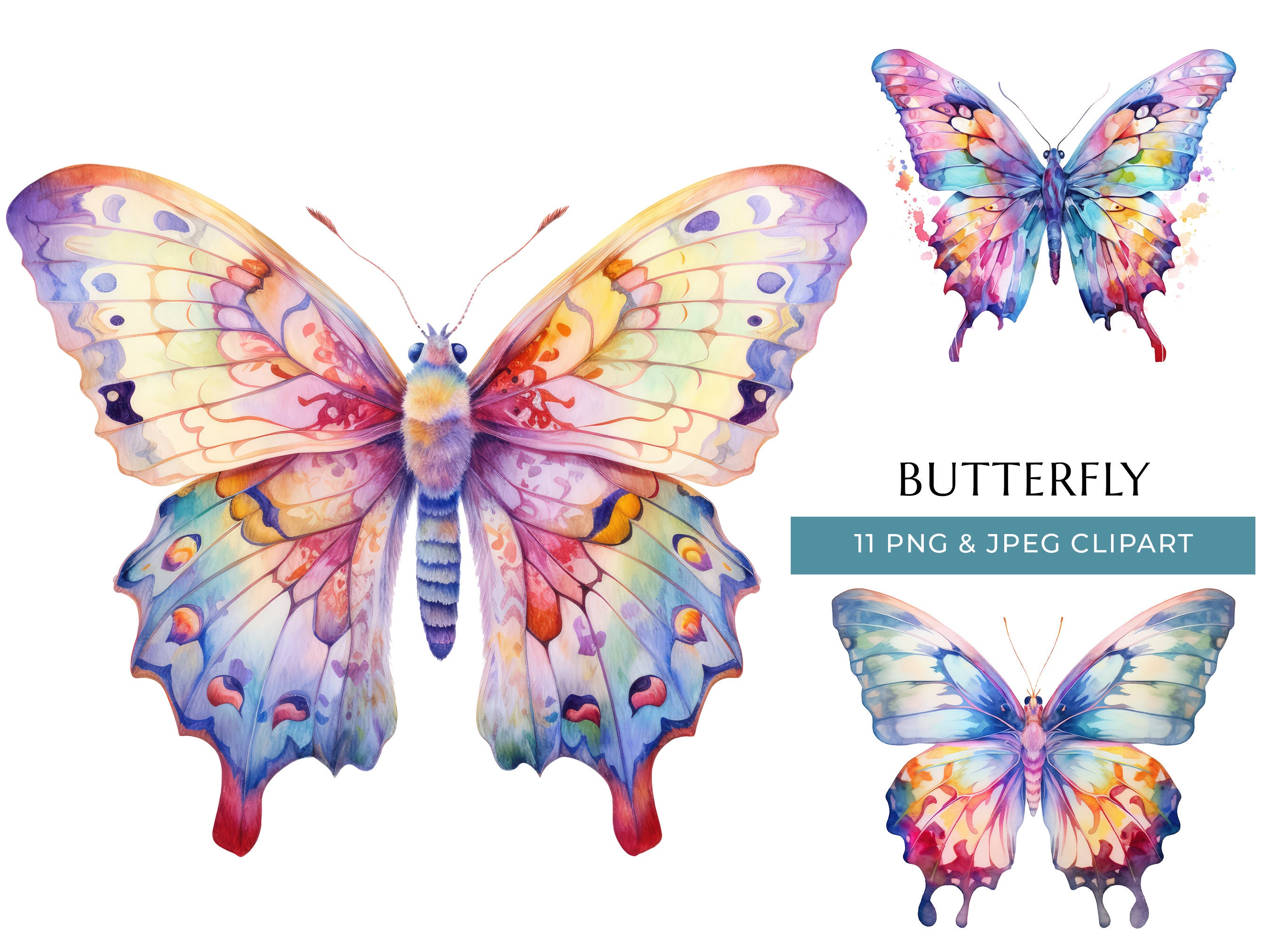 Watercolor Butterfly Clipart – Colorful Insect Art (digital Download ...