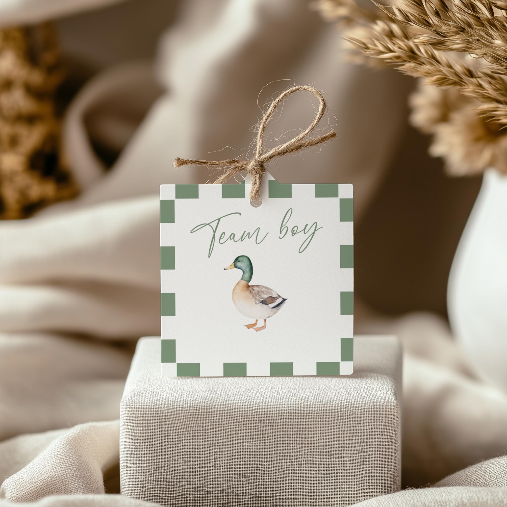 Mallard Duck Gender Reveal Sticker, Instant Download Team Boy or Team ...