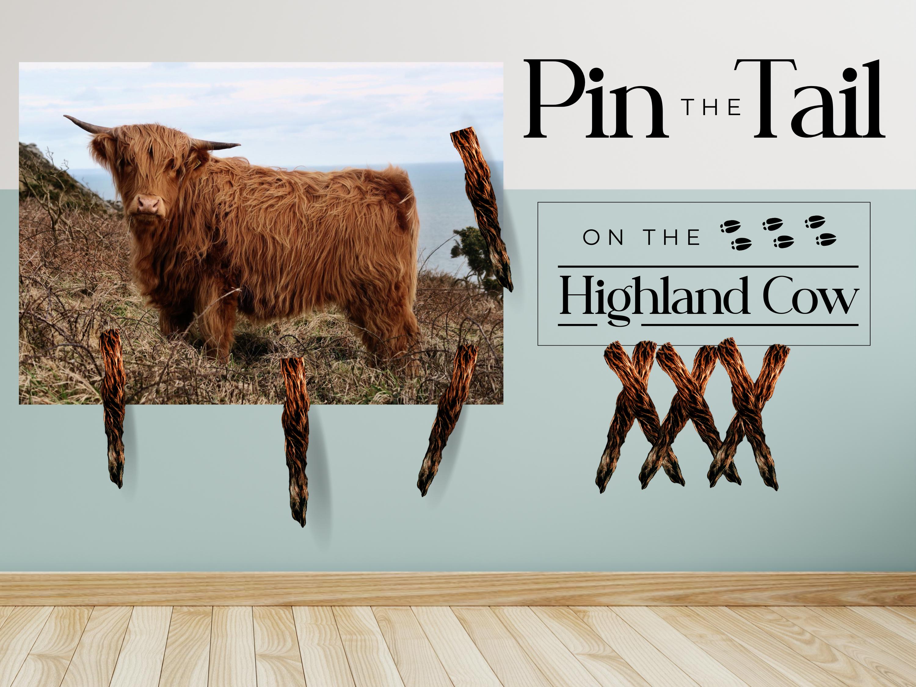 Highland Cow Pin the Tail Game, Funny Baby Shower Activity, Kid's ...