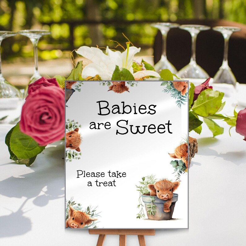 Highland Cow Baby Shower Sign Take A Treat, Highlander Cow Editable ...