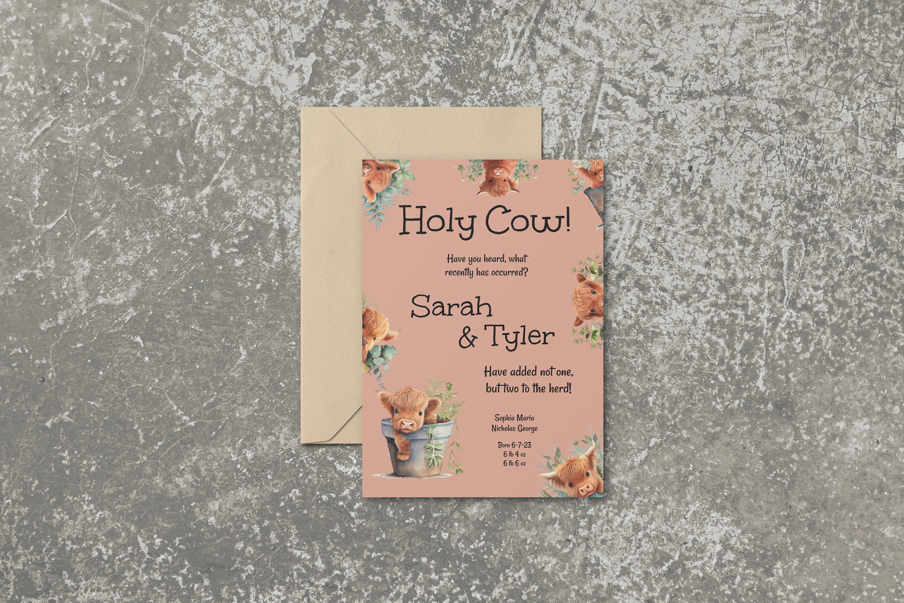 Birth Announcement Twins, Highland Cow Baby Arrival, Editable ...