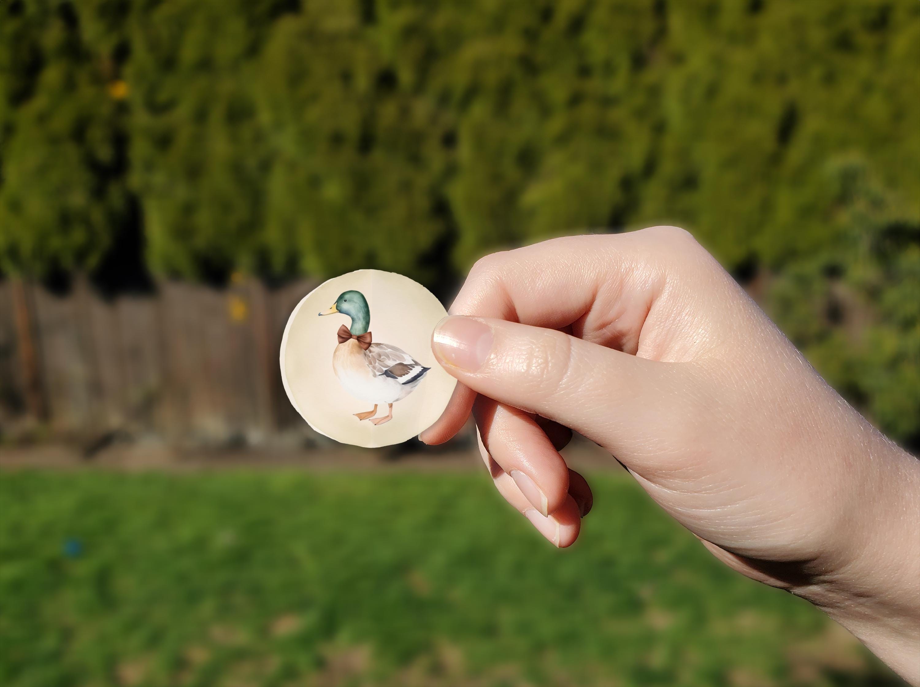 Mallard Duck Gender Reveal Sticker, Instant Download Team Boy or Team ...