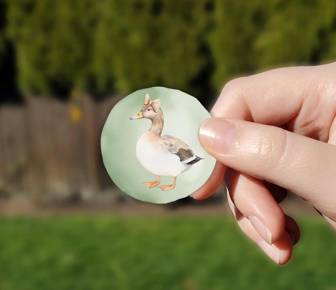 Mallard Duck Gender Reveal Sticker, Instant Download Team Boy or Team ...