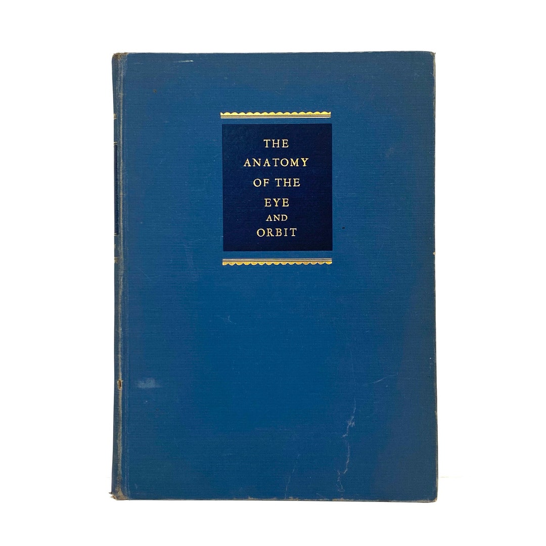 The Anatomy of the Eye and Orbit - Etsy