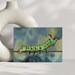 Handmade Greeting Cards Set (3) of Caterpillars Made in Watercolor and ...