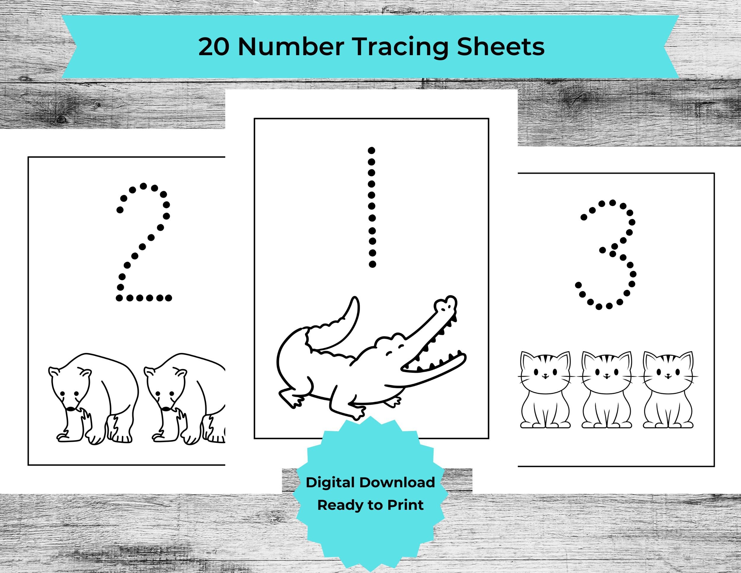 Number Tracing Practice/printable Number Tracing Worksheets/trace and ...
