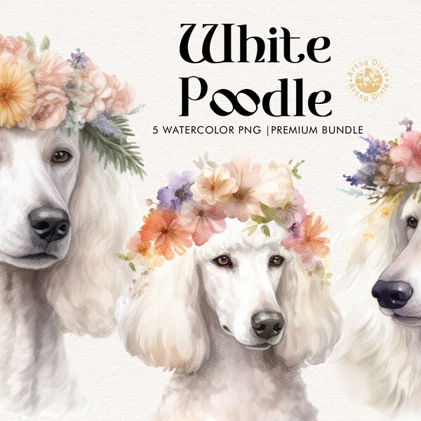 Poodle Anime Clipart - Etsy