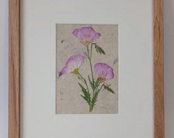 Pressed Flowers, Evening Primrose 20pcs Floral Art, Resin Craft - Etsy