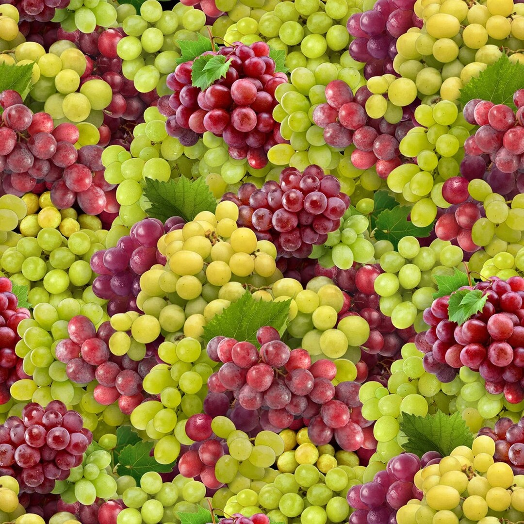 Food Red and Green Grapes 33 INCH Fabric From Elizabeth's Studios 100% ...