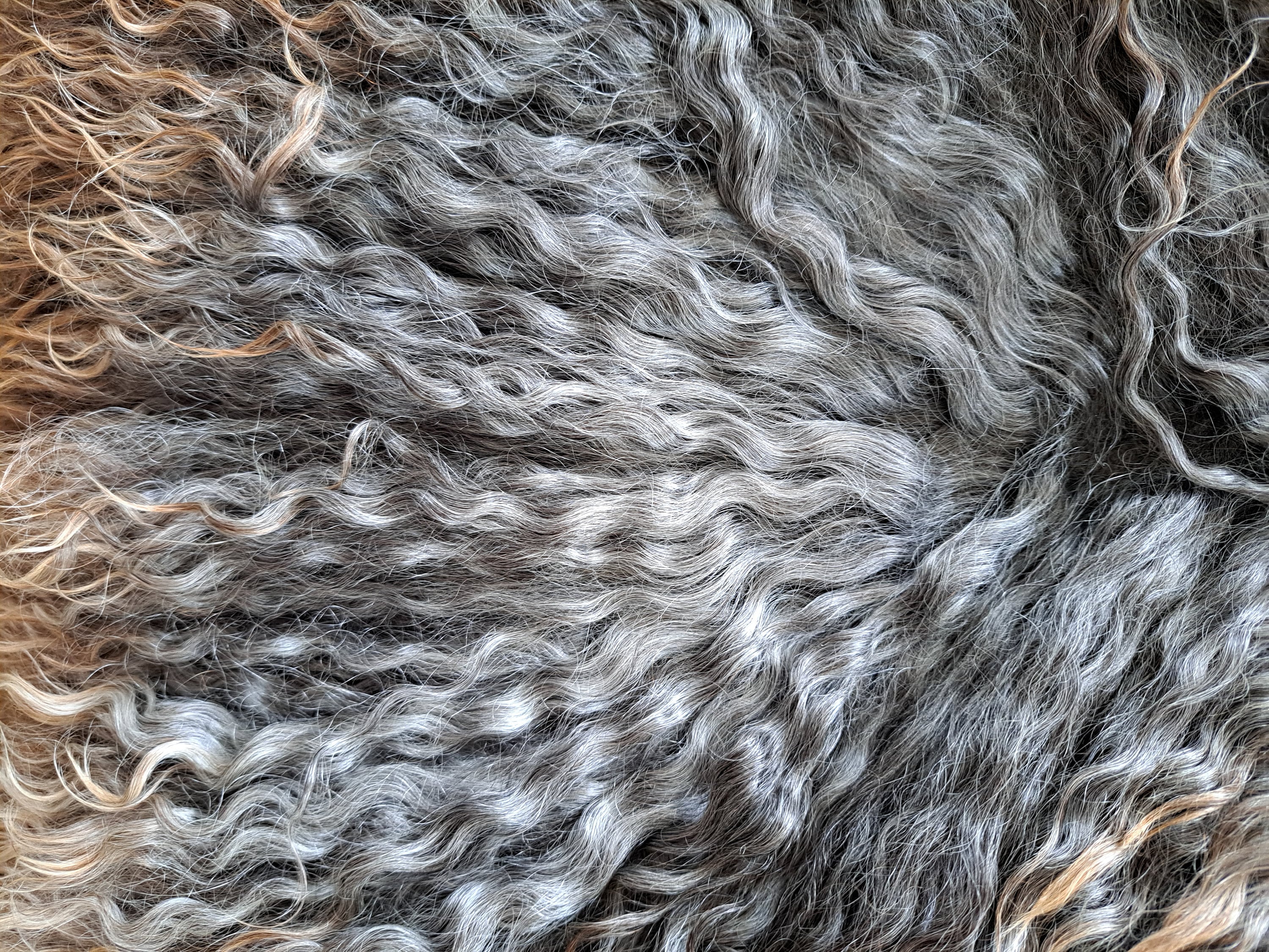 Goat Hair on the Skin,natural Curls of Goats, for Handmade Dolls Hair ...