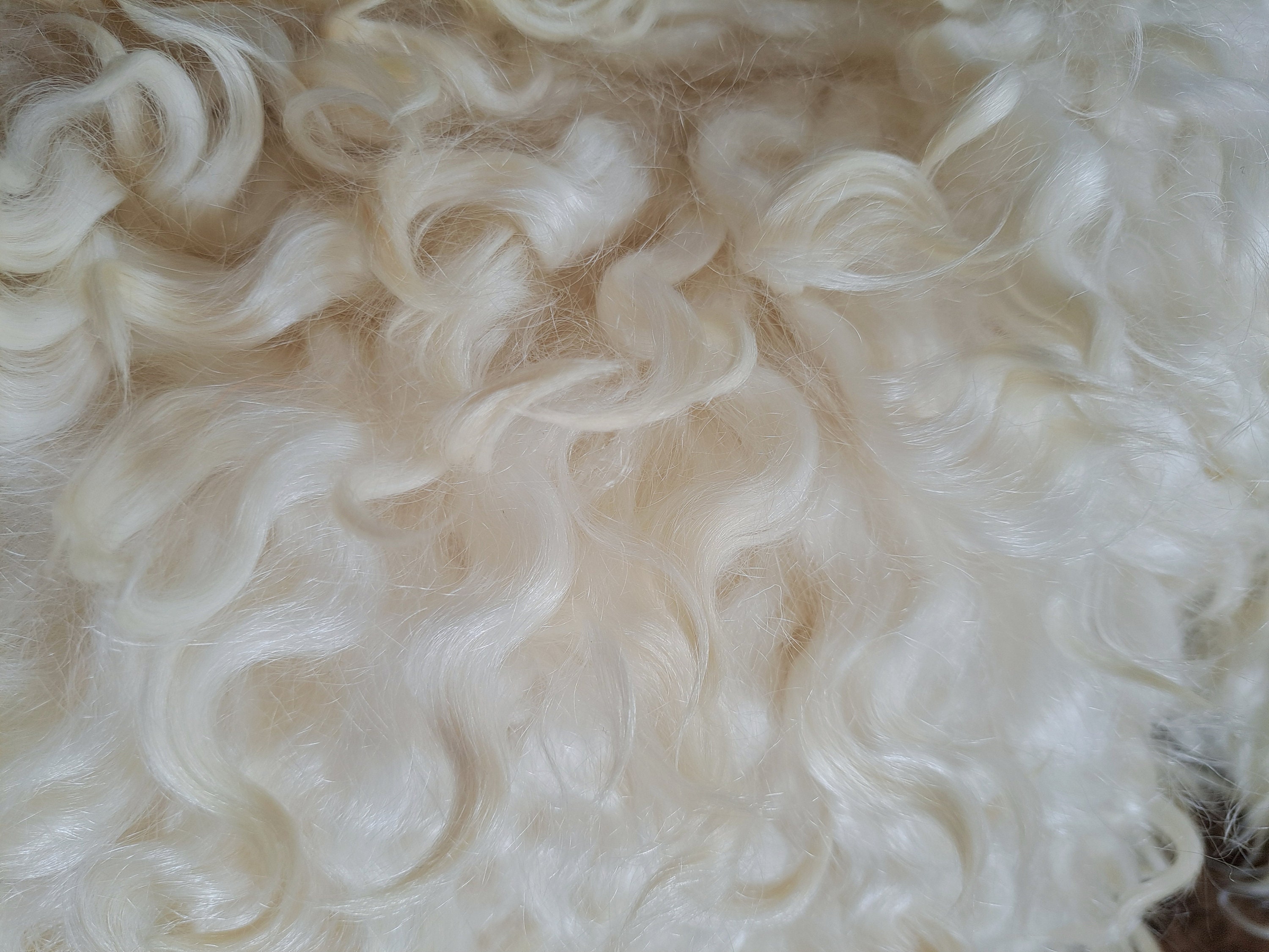 Goat Hair on the Skin,natural Curls of Goats, for Handmade Dolls Hair ...