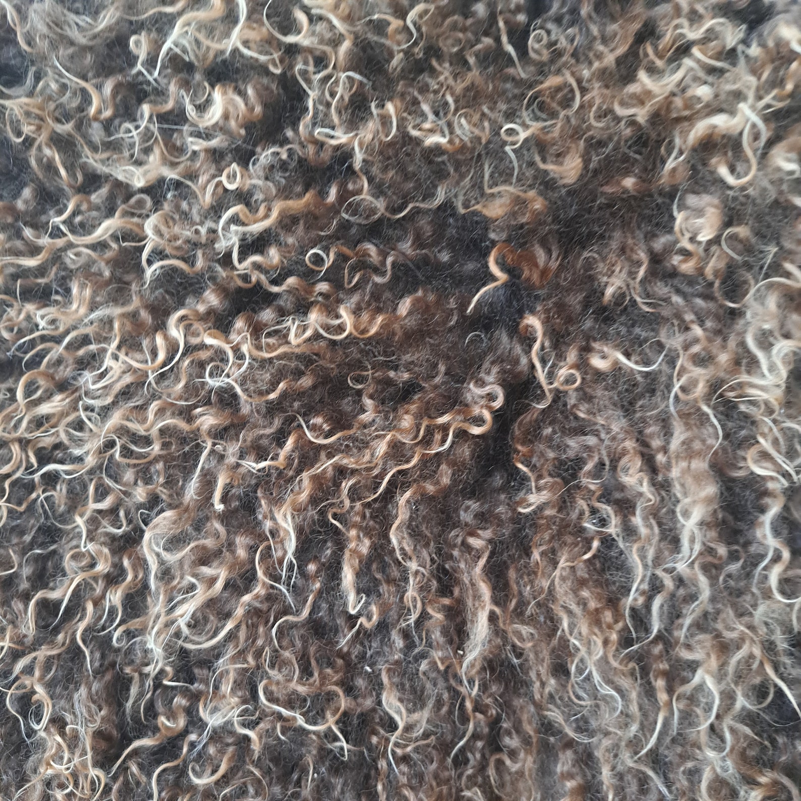 Goat Hair on the Skin,natural Curls of Goats, for Handmade Dolls Hair ...