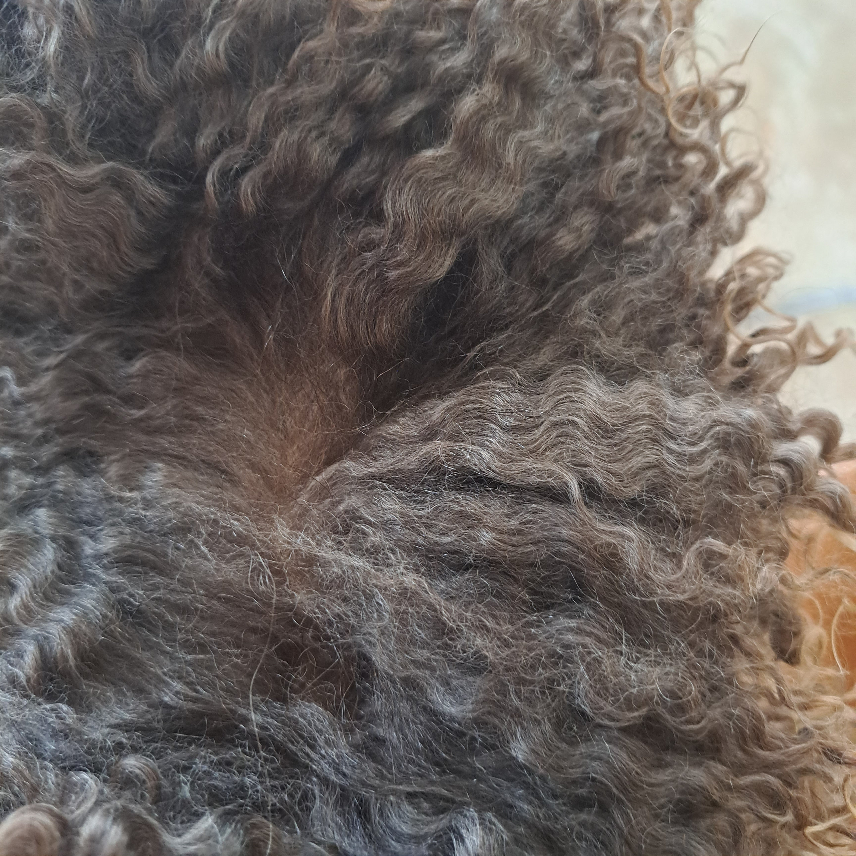 Goat Hair on the Skin,natural Curls of Goats, for Handmade Dolls Hair ...