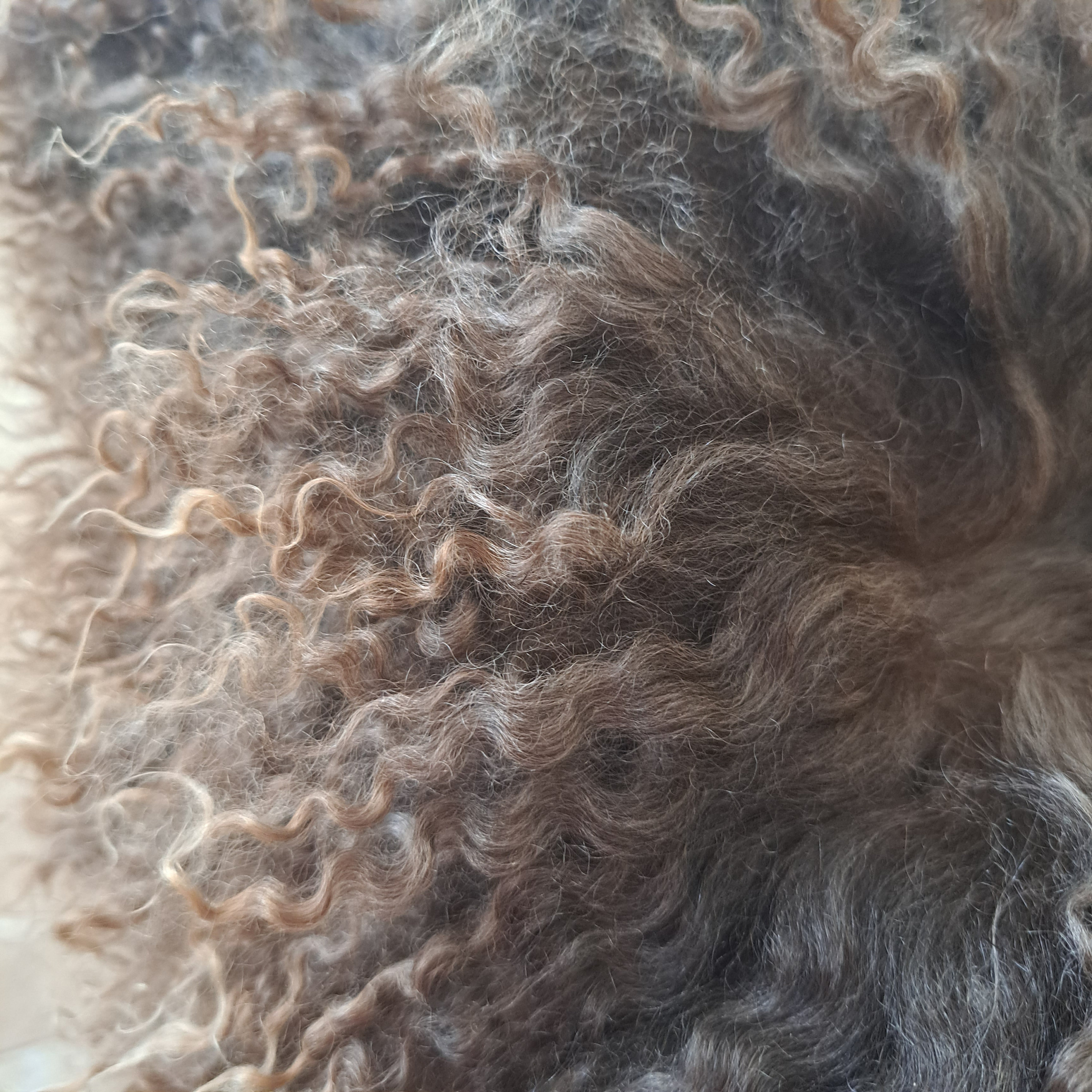 Goat Hair on the Skin,natural Curls of Goats, for Handmade Dolls Hair ...