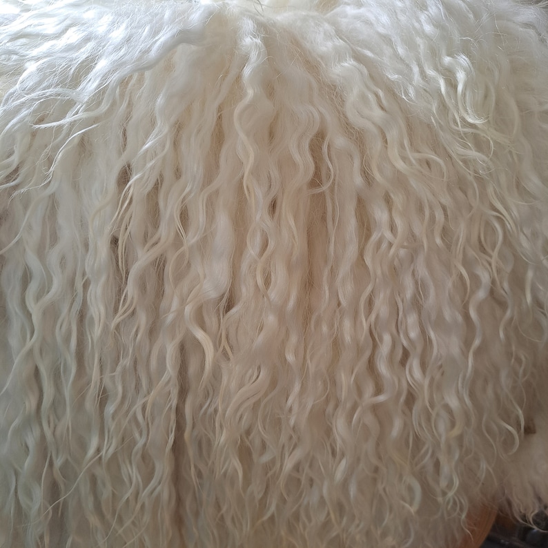 Goat Hair on the Skin,natural Curls of Goats, for Handmade Dolls Hair ...