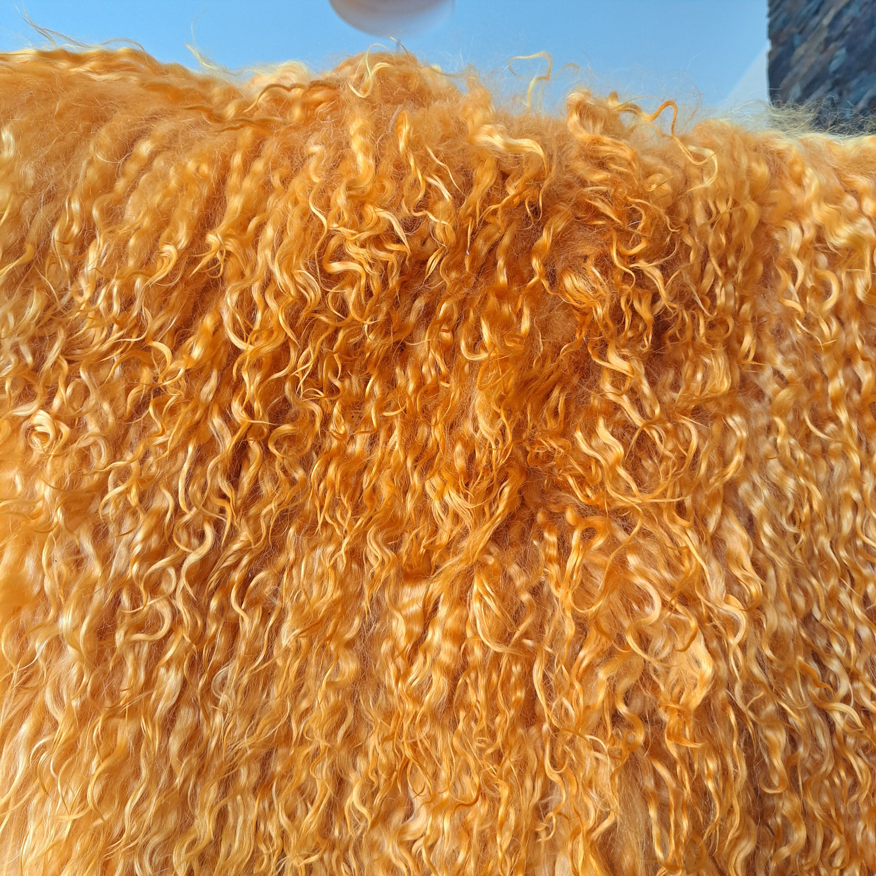 Dyed Goat Hair , Goat Hair on the Skin,natural Curls of Goats, for ...