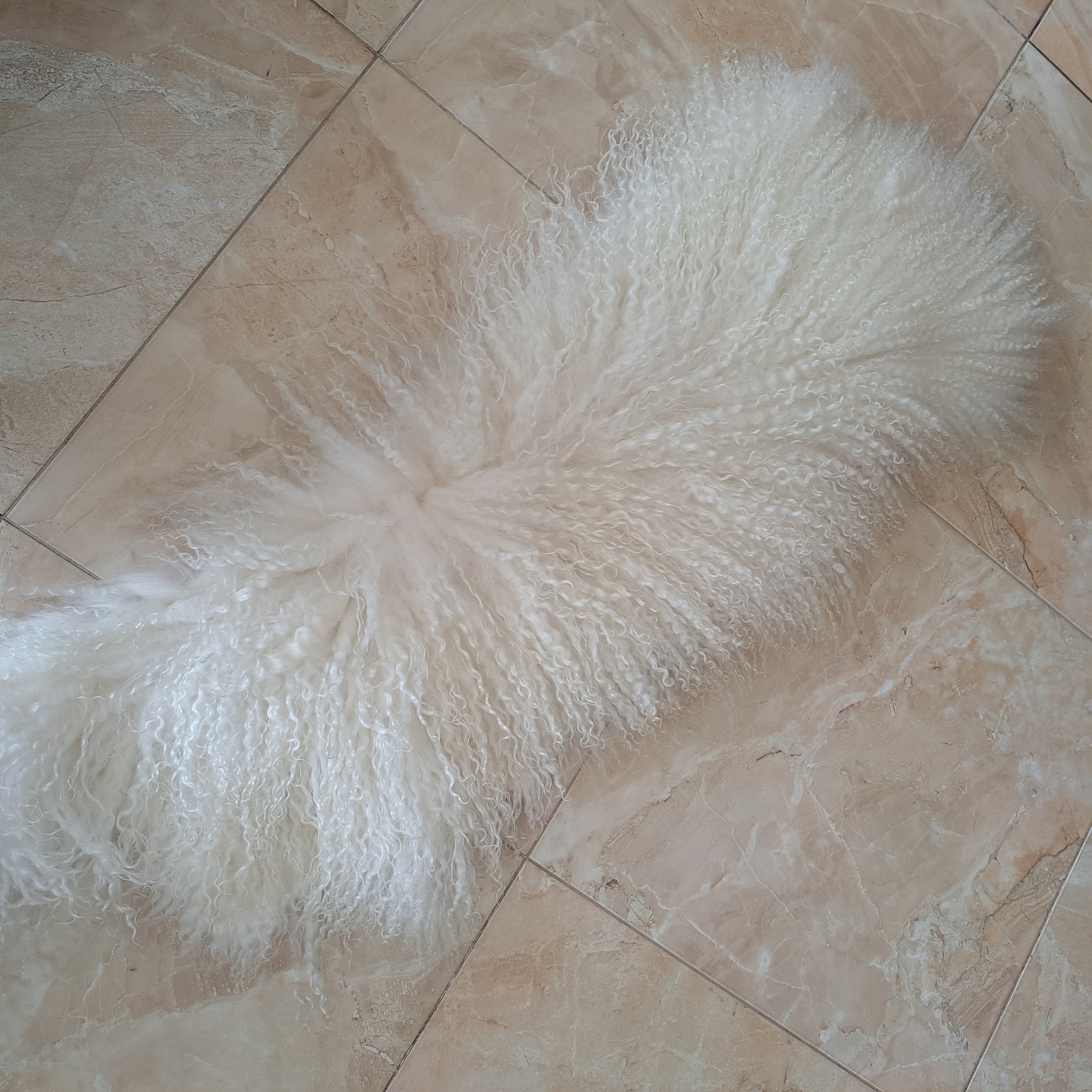 Goat Hair on the Skin,natural Curls of Goats, for Handmade Dolls Hair ...