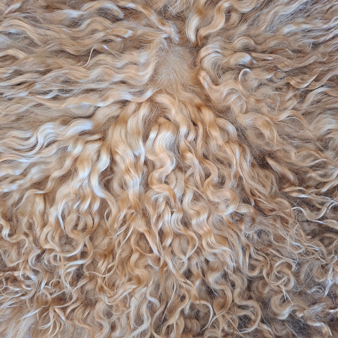 Dyed Goat Hair , Goat Hair on the Skin,natural Curls of Goats, for ...