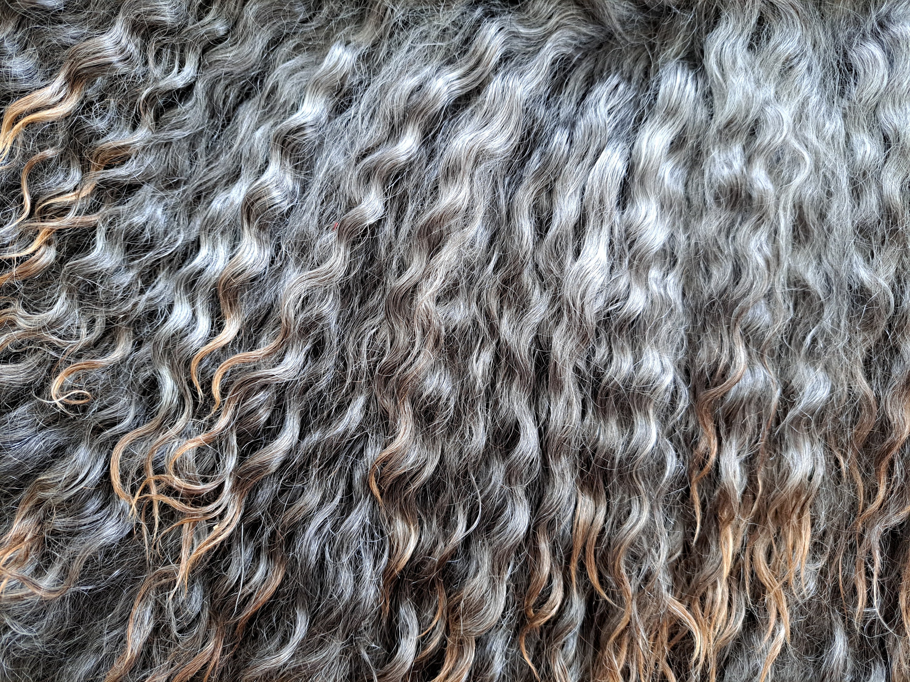 Goat Hair on the Skin,natural Curls of Goats, for Handmade Dolls Hair ...