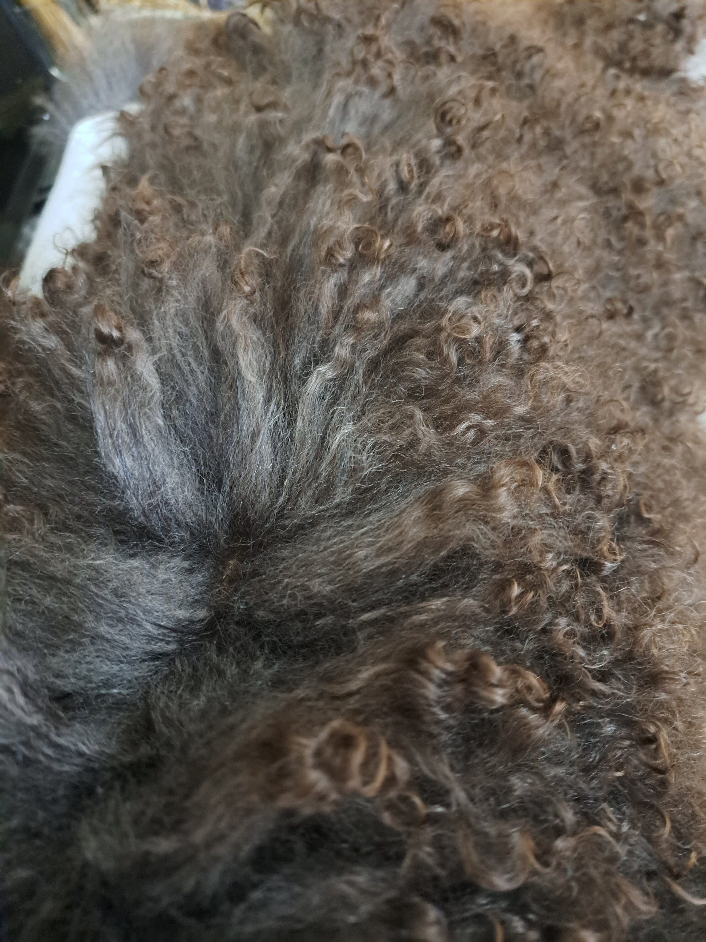Goat Hair on the Skin,natural Curls of Goats, for Handmade Dolls Hair ...